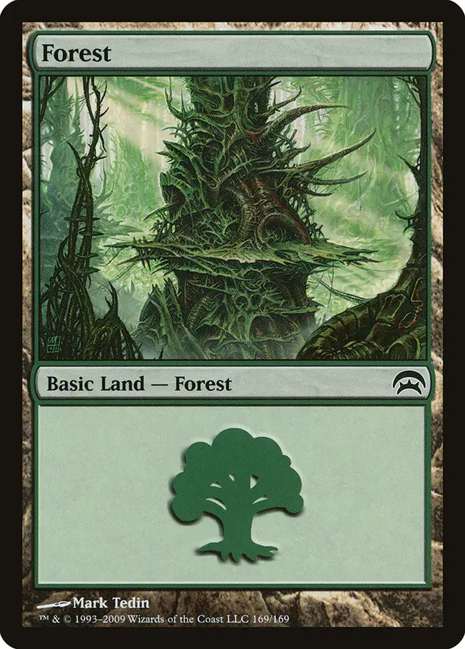 Forest • Basic Land — Forest (Planechase) - MTG Assist