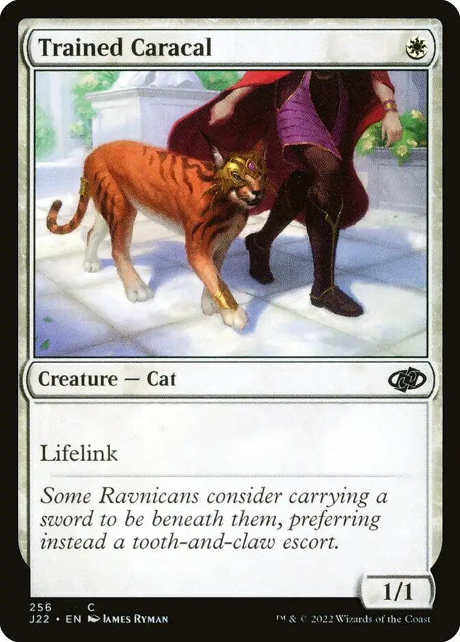 Trained Caracal • Creature — Cat (Jumpstart 2022) - MTG Assist