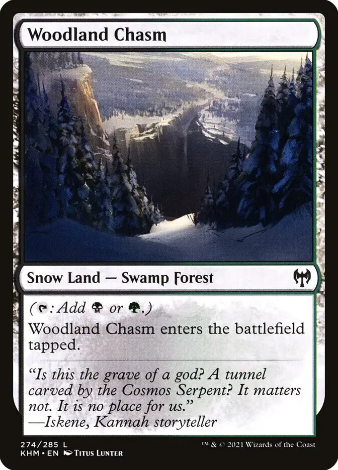 Woodland Chasm • Snow Land — Swamp Forest (Kaldheim) - MTG Assist